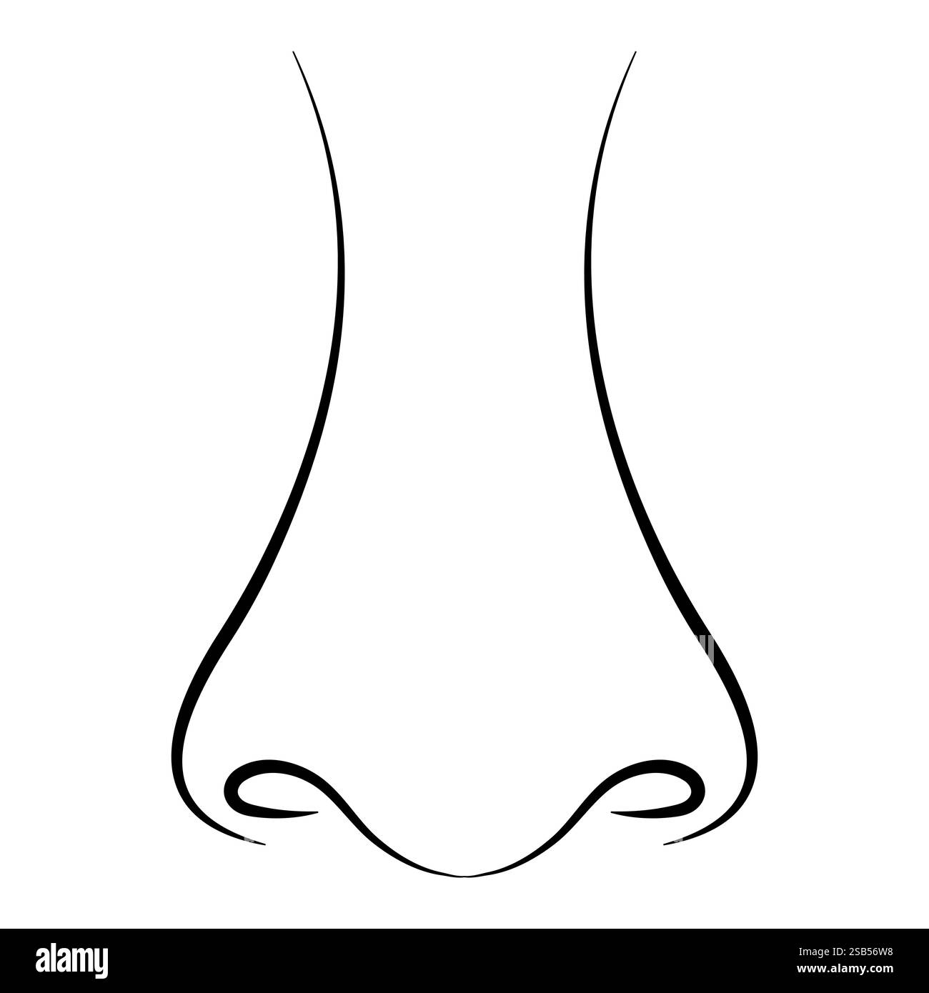 Human Nose Outline, Front View anatomy face body organ Nose Stock ...