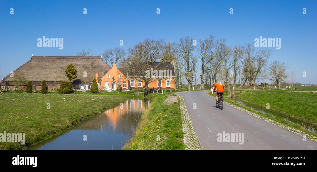 Cyclist in the Groningen landscape near Den Horn, Netherlands Stock ...