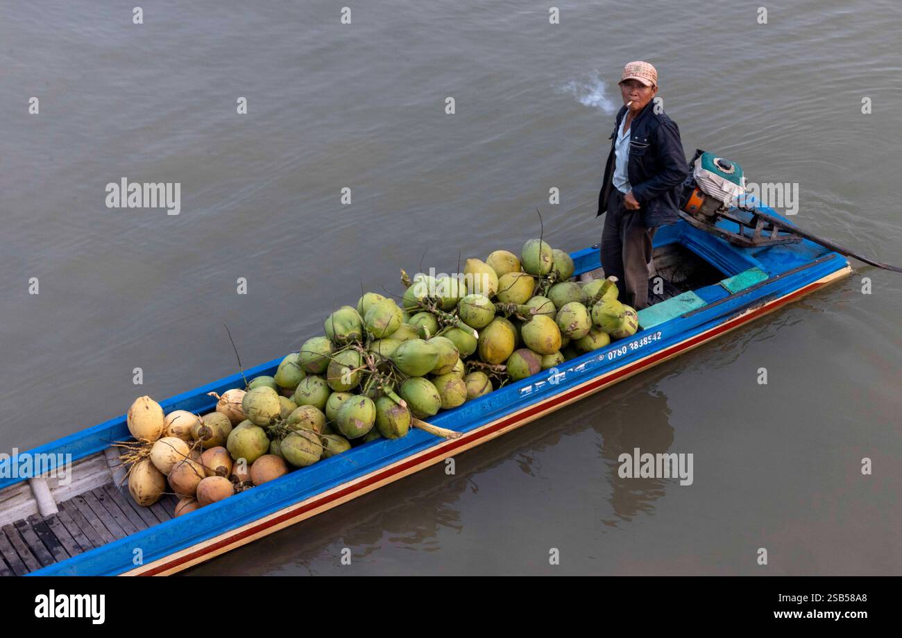 A traditional Vietnamese boat full of coconuts on the Mekong River at ...
