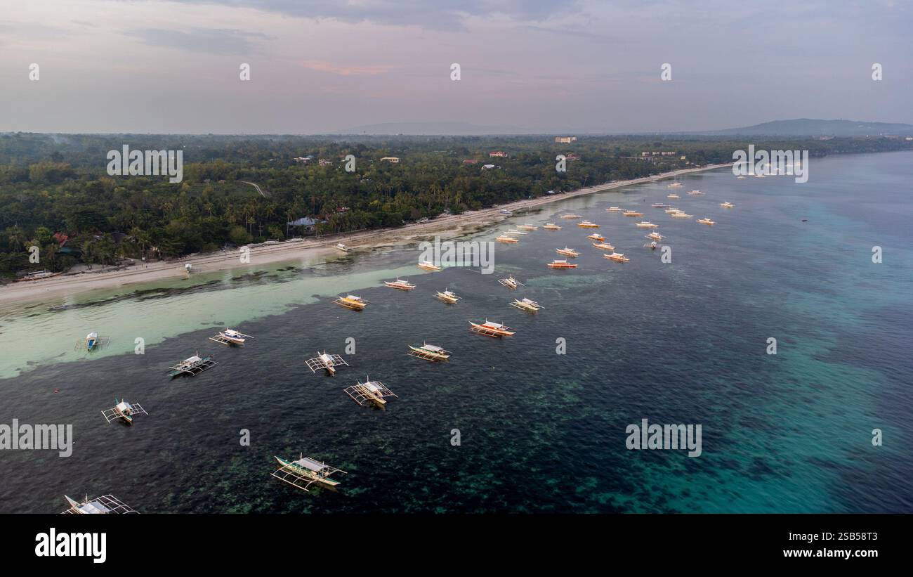 Aerial view of the beach with fishing boats in Bohol, Philippines, Asia ...