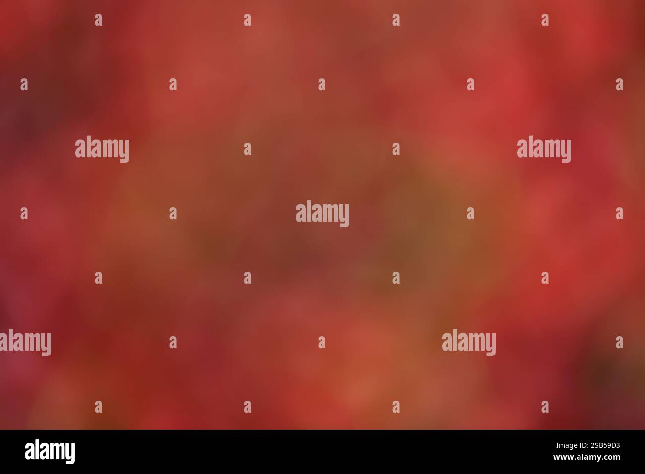 Abstract Red gradient blurred background grainy noise texture backdrop ...