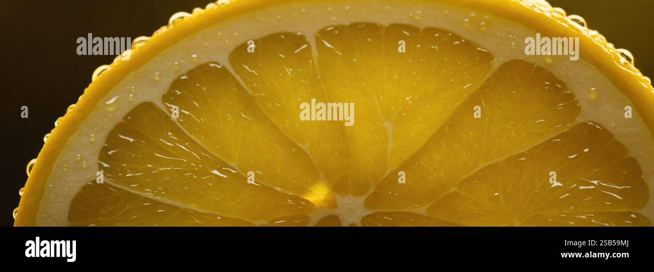Sliced lemon with water drops in backlight of sun. Lemon slice, fruit ...