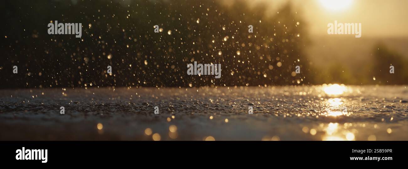 Concept of rain, sun and water. Drops of water shimmer in the backlight ...