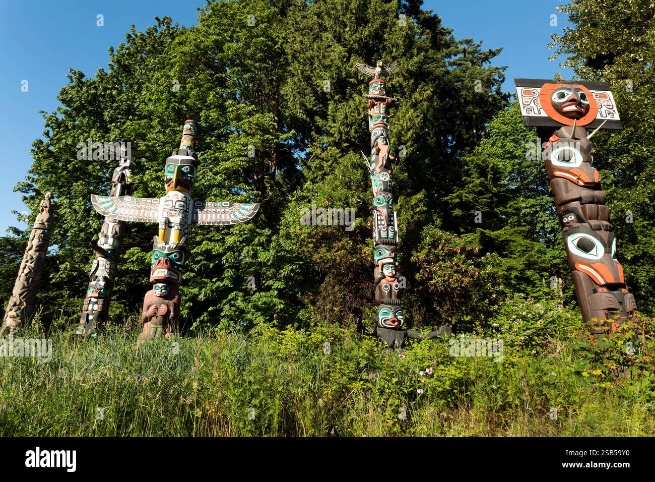 The First Nations indigenous native totem poles of Stanley Park located ...