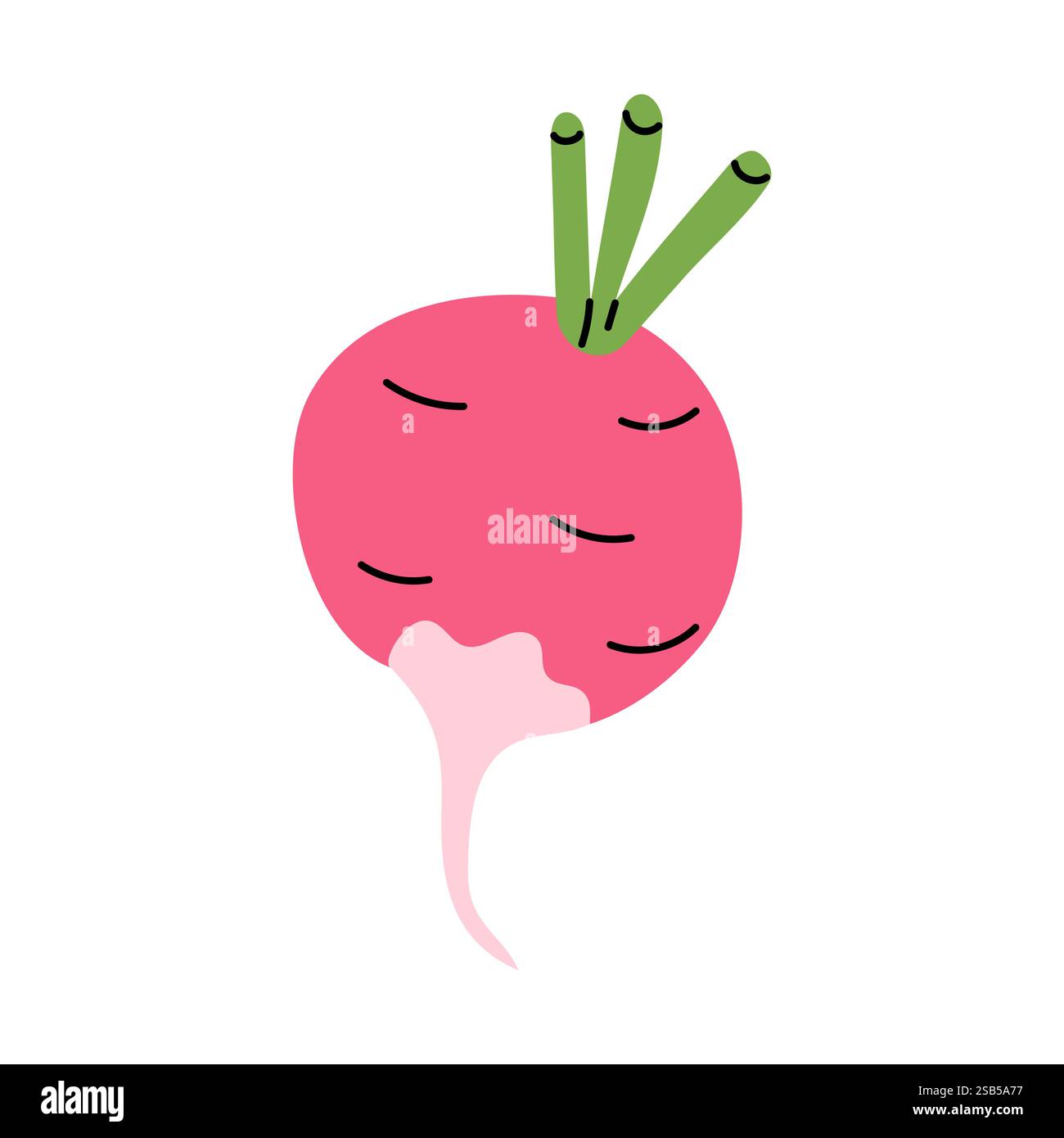 A vibrant illustration showcases a round pink radish with green leaves ...
