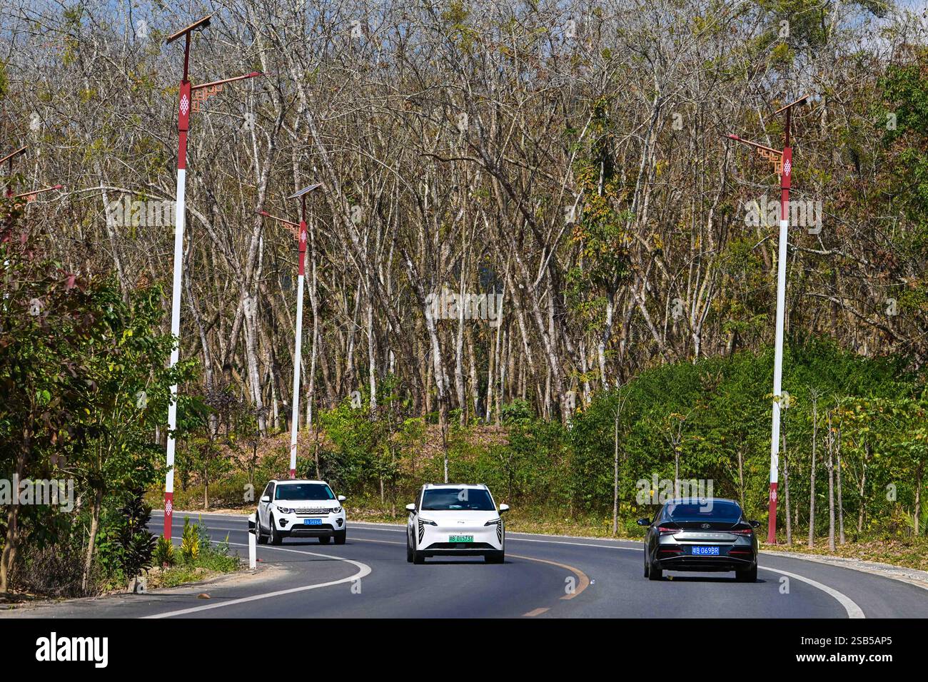 Haikou, China's Hainan Province. 30th Jan, 2025. This photo shows a ...