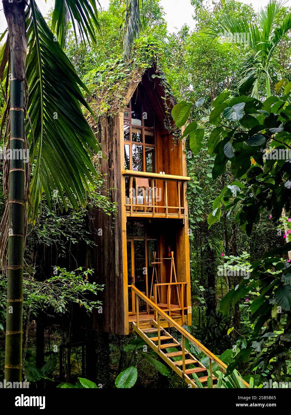 A stunning wooden treehouse gracefully sits among the tropical foliage ...