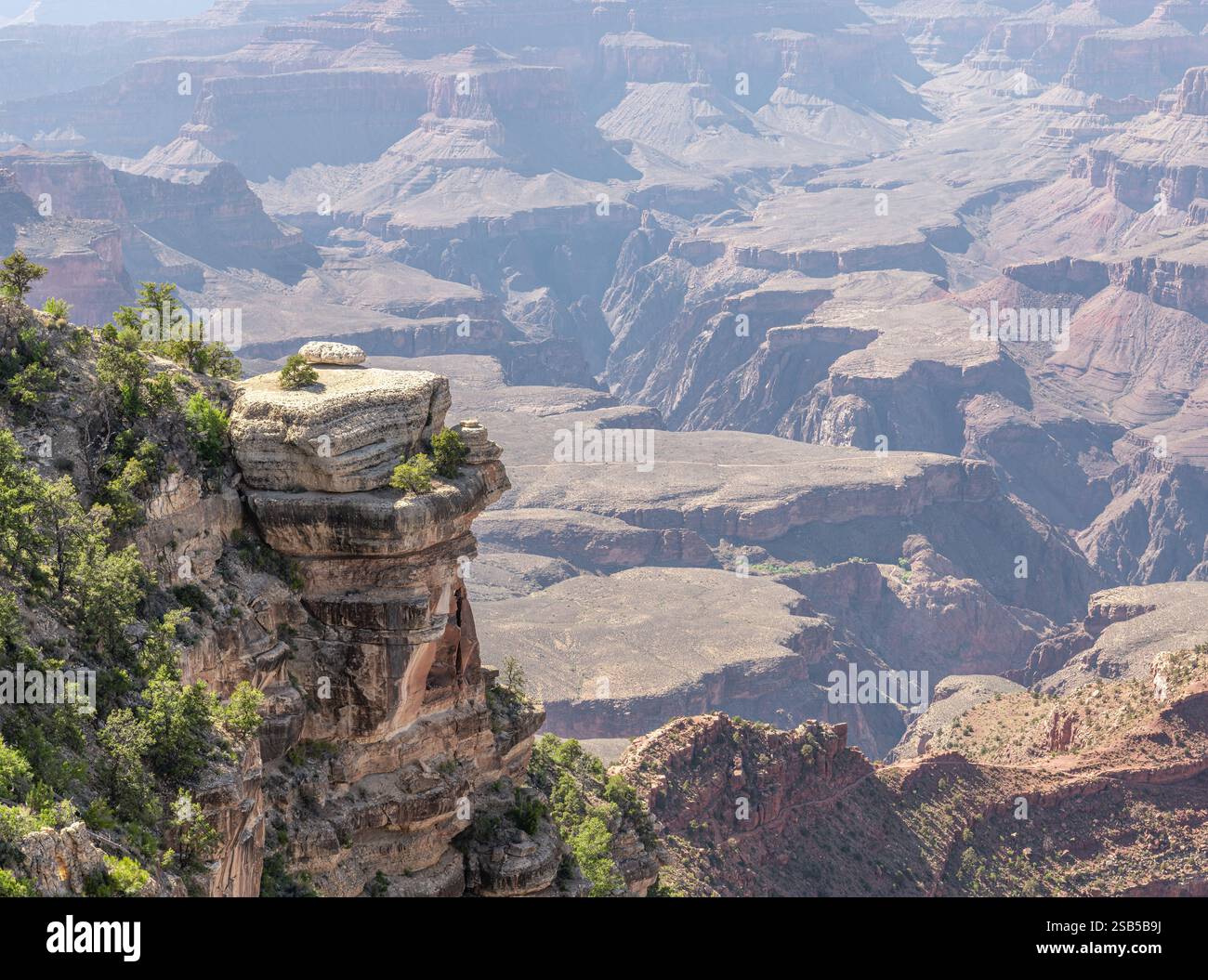 Trees growing on a rocky outcrop on the edge of the South Rim of The ...