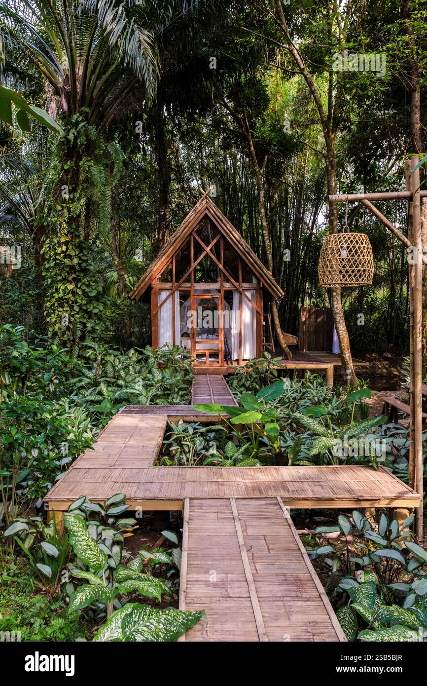 Nestled among vibrant greenery, a charming bamboo retreat invites ...