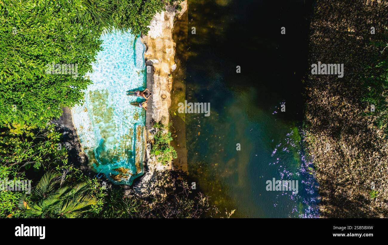 Surrounded by lush greenery, two individuals enjoy a peaceful moment by ...