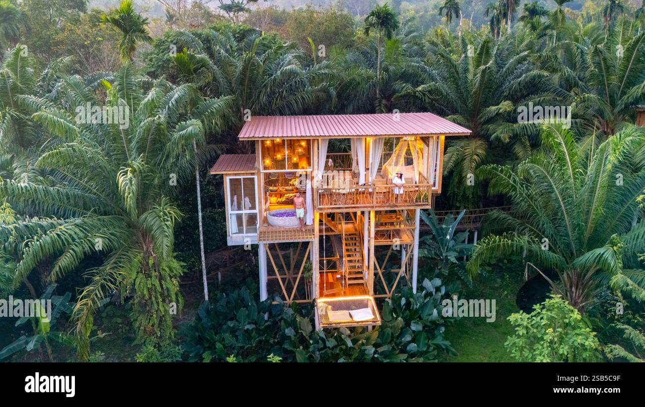 Nestled high among swaying palm trees, this charming treehouse offers a ...