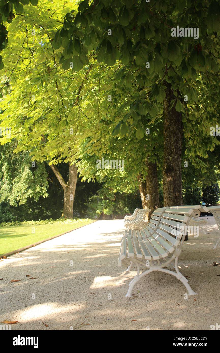 White bench in the royal spa gardens in Bad Reichenhall Stock Photo - Alamy