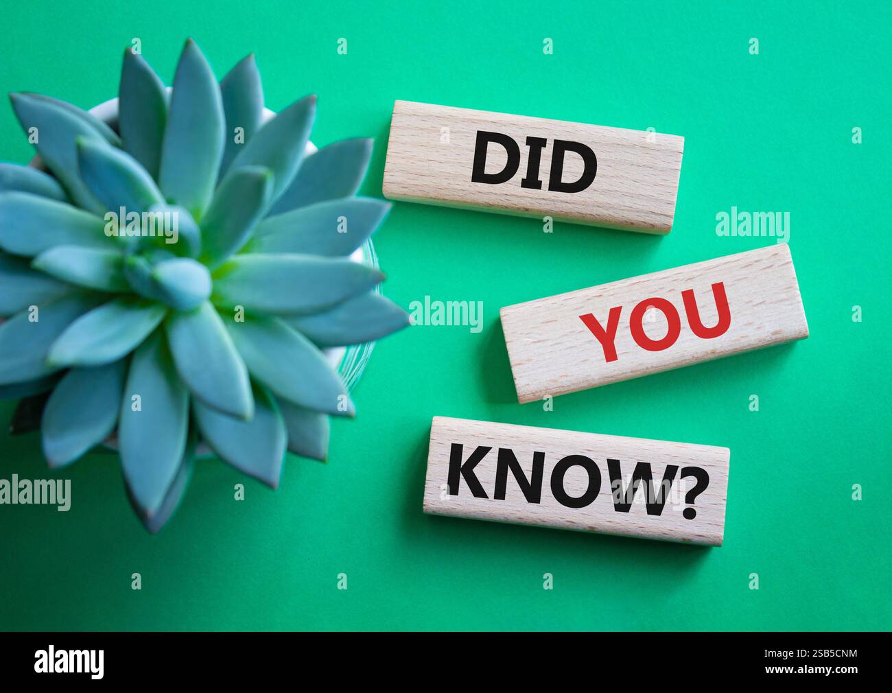 Did you know symbol. Wooden blocks with words Did you know. Beautiful ...