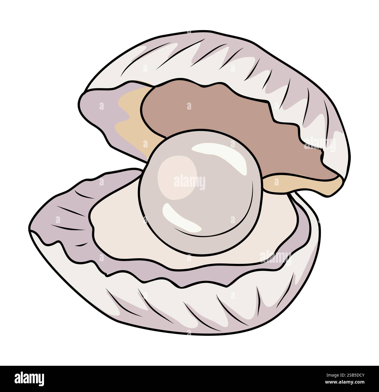Opened Seashell with pearl inside vector isolated Stock Vector Image ...