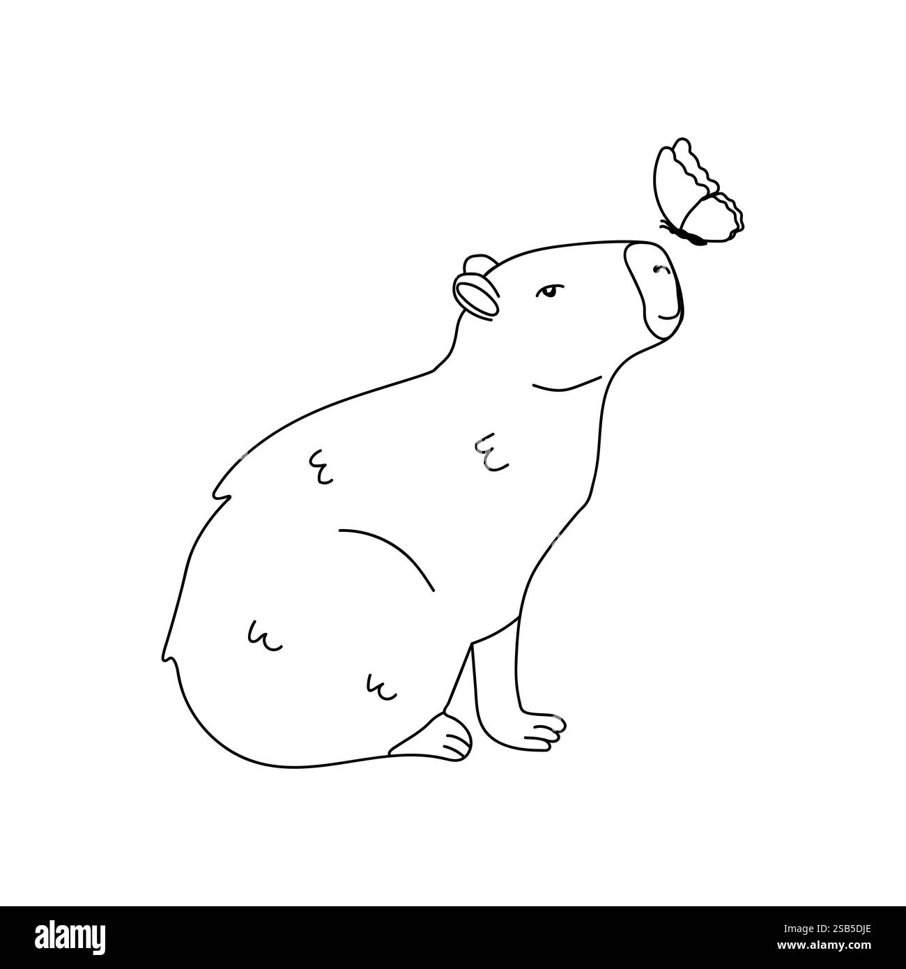 A simple line drawing of a capybara sitting and looking at a butterfly ...