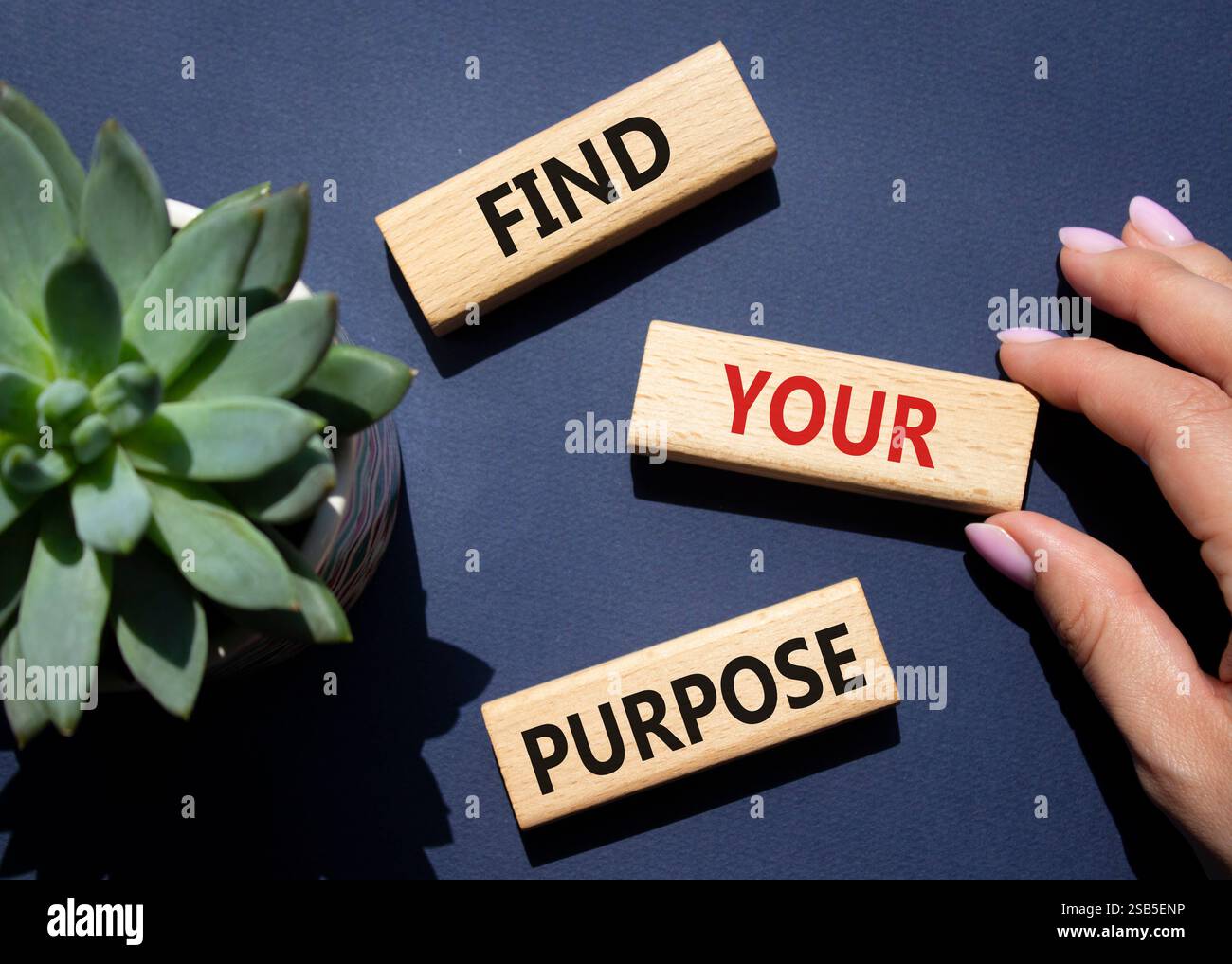 Find your Purpose symbol. Wooden blocks with words Find your Purpose ...