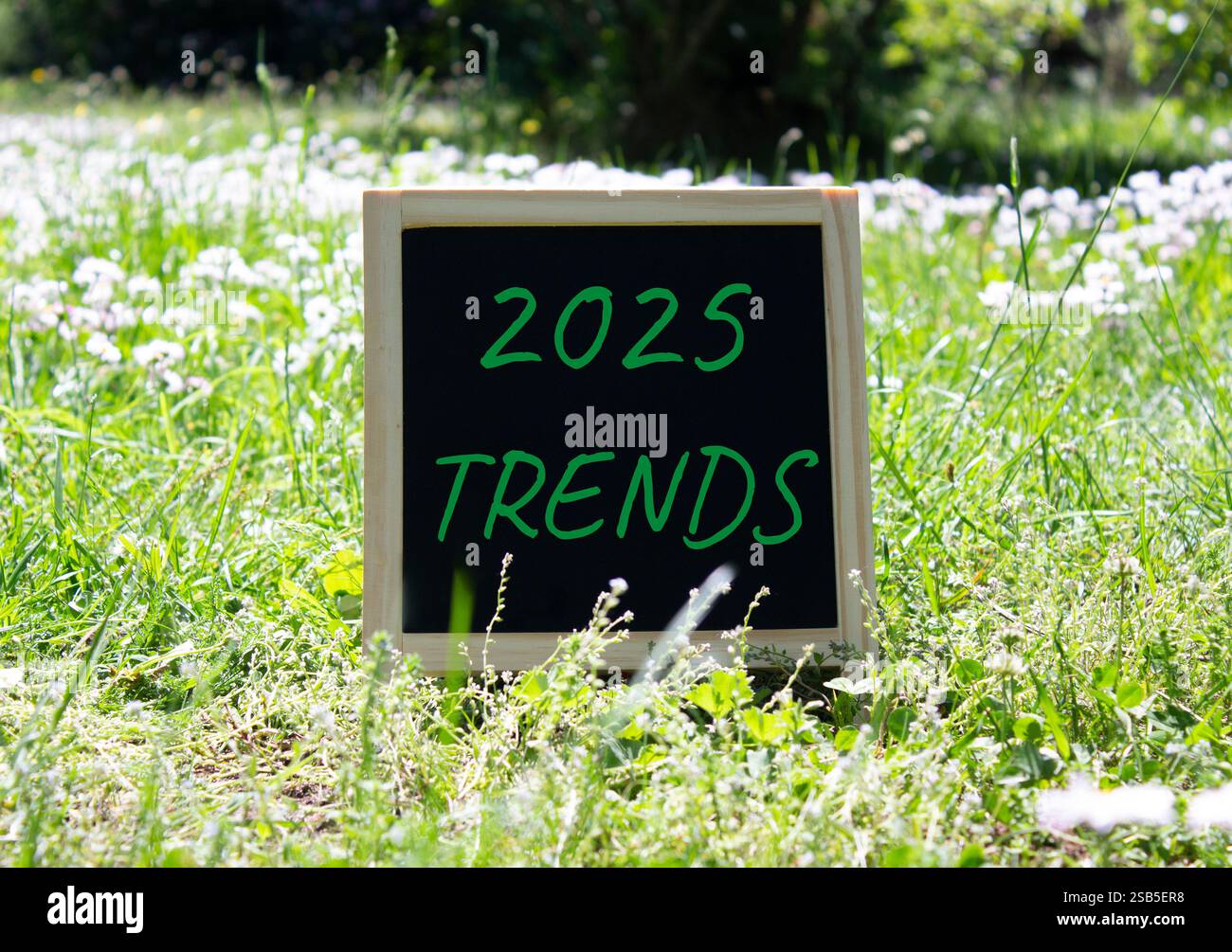 2025 Trends symbol. Blackboard with words 2025 Trends. Beautiful meadow ...