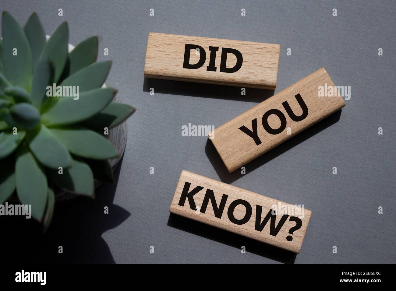 Did you know symbol. Wooden blocks with words Did you know. Beautiful ...