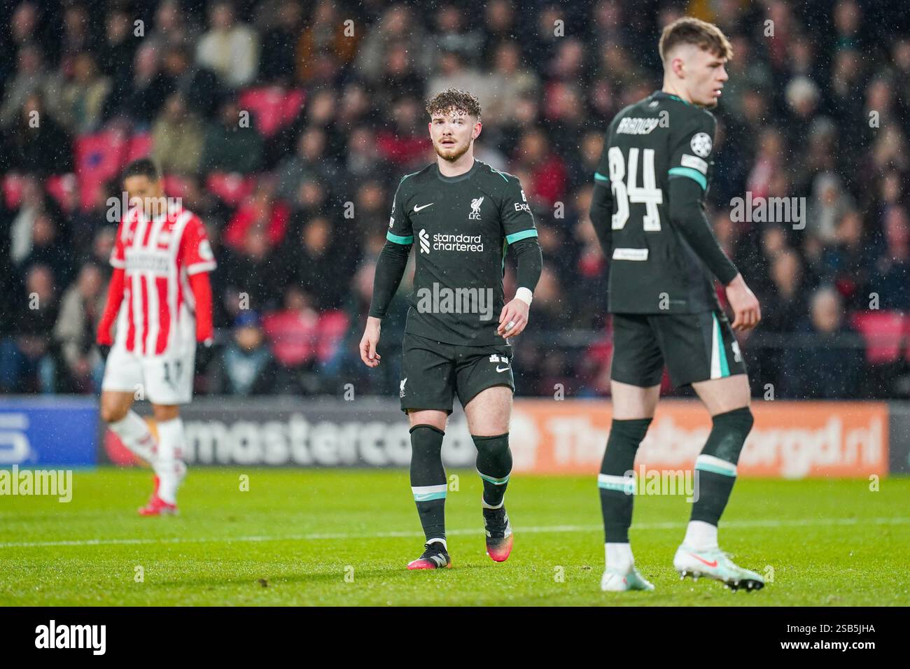 Eindhoven, Netherlands. 29th Jan, 2025. Liverpool FC midfielder Harvey ...