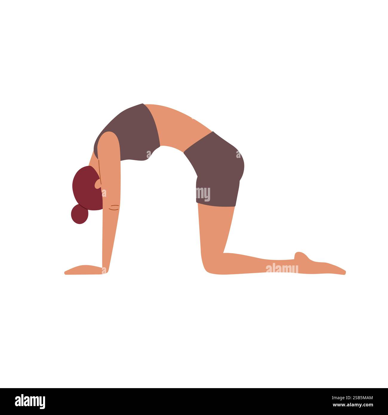Cat stretch studio Stock Vector Images - Alamy