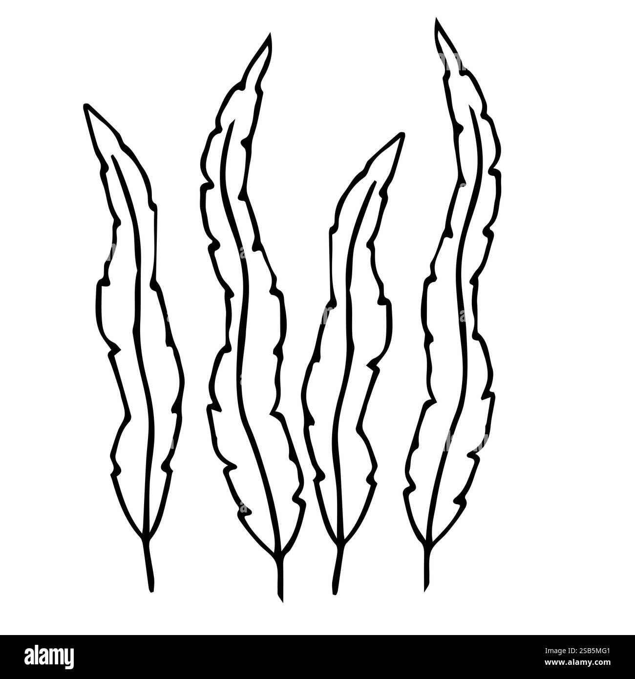 Different types of plant structures Cut Out Stock Images & Pictures - Alamy