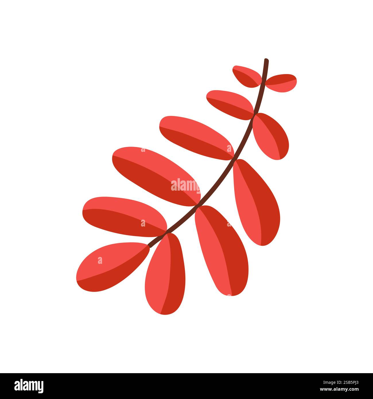 flat fall branch over white background. Vector illustration Stock ...