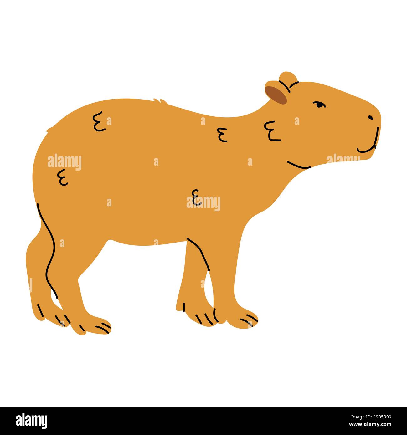 A simple, cartoon illustration of a capybara standing on a white ...