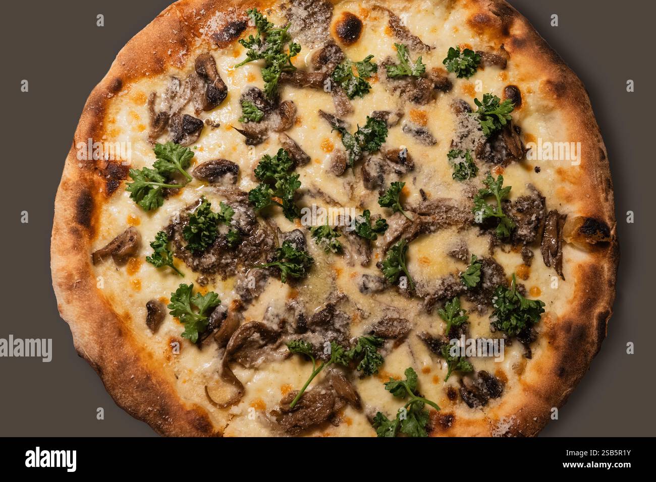 Italian cuisine : Truffle mushroom pizza Stock Photo - Alamy