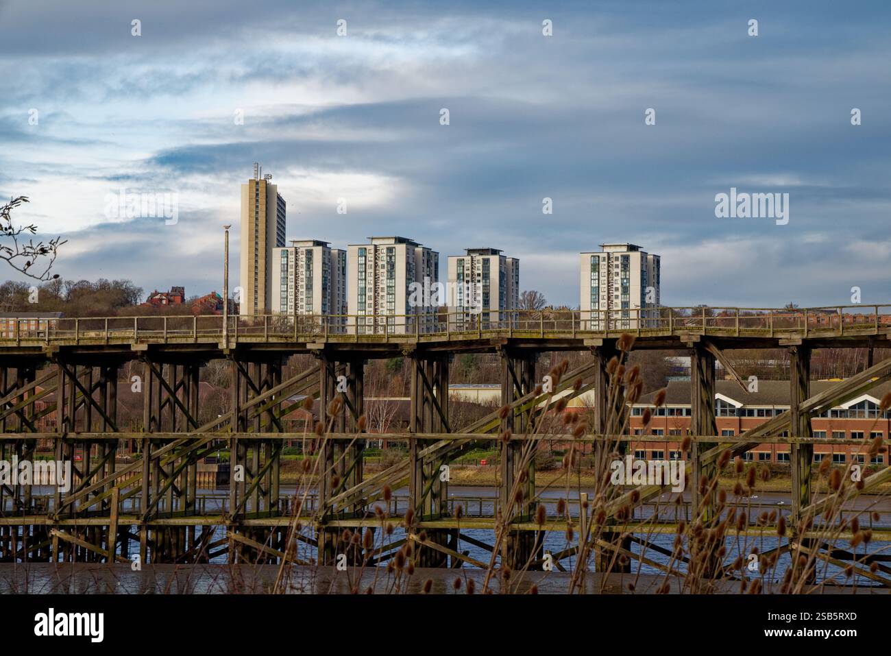 The modern tower blocks of Elswick provide a dramatic contrast to the ...