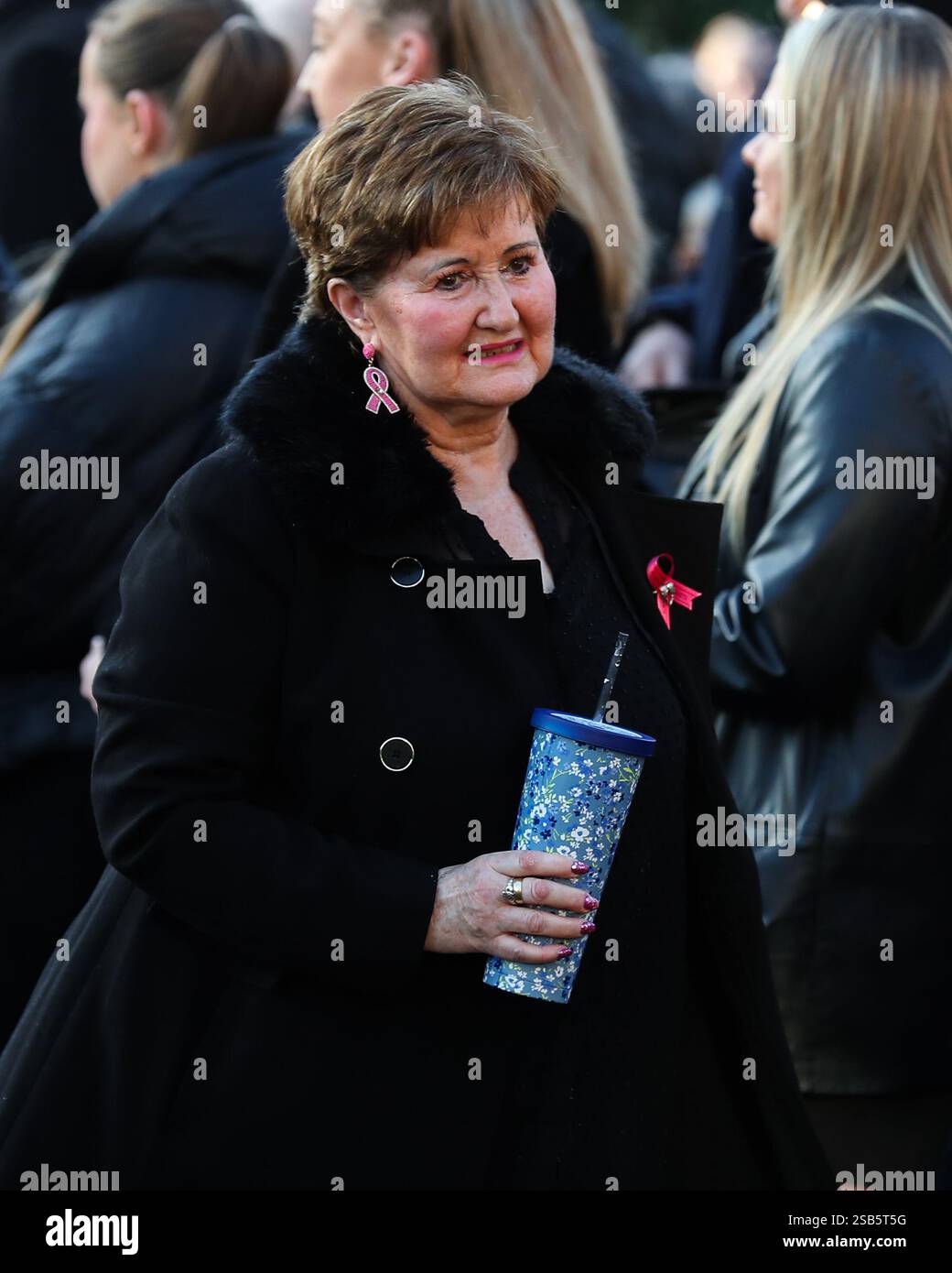 Denise nolan singer hi-res stock photography and images - Alamy