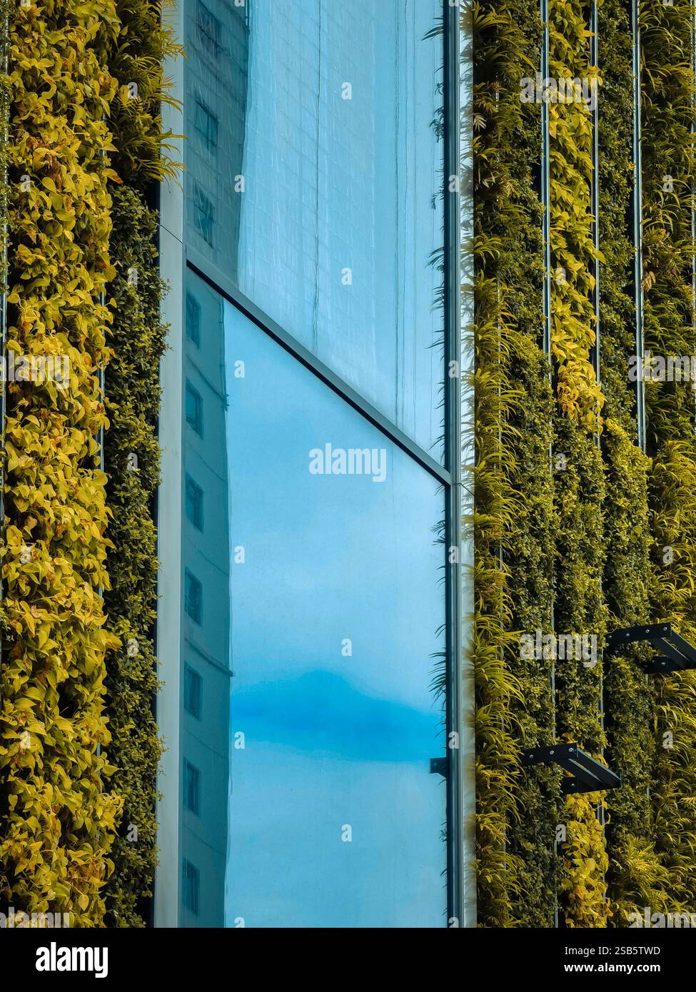 Close-up view of a modern Hong Kong building's exterior. Vertical green ...