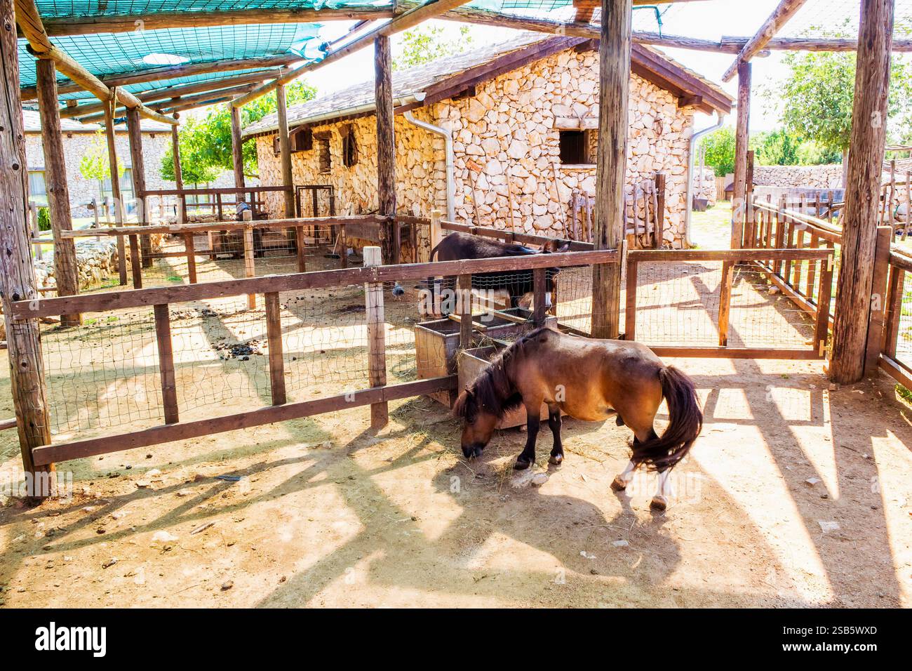 Farm animals on farm in summer Stock Photo - Alamy