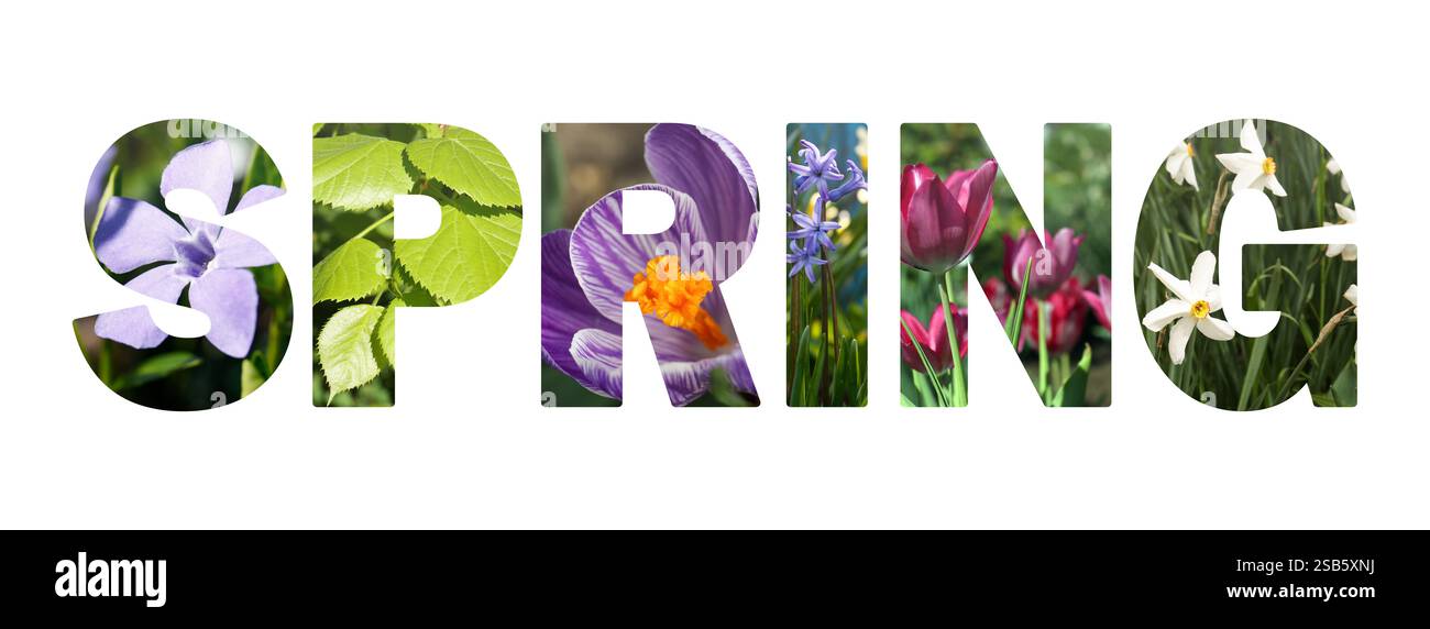 Spring word with seasonal plants inside letters on white background ...