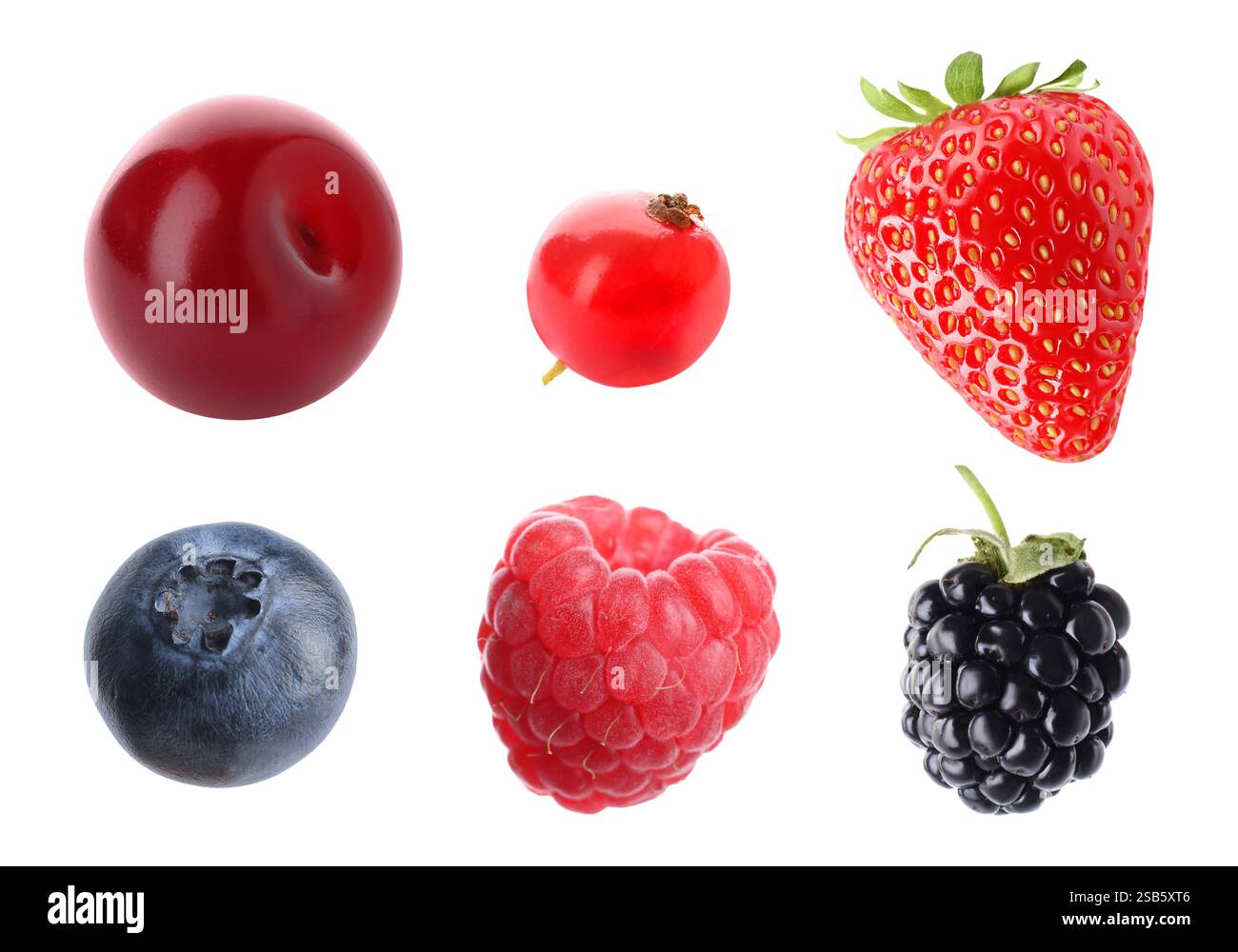 Blueberry, cherry, raspberry, blackberry, strawberry and redcurrant ...
