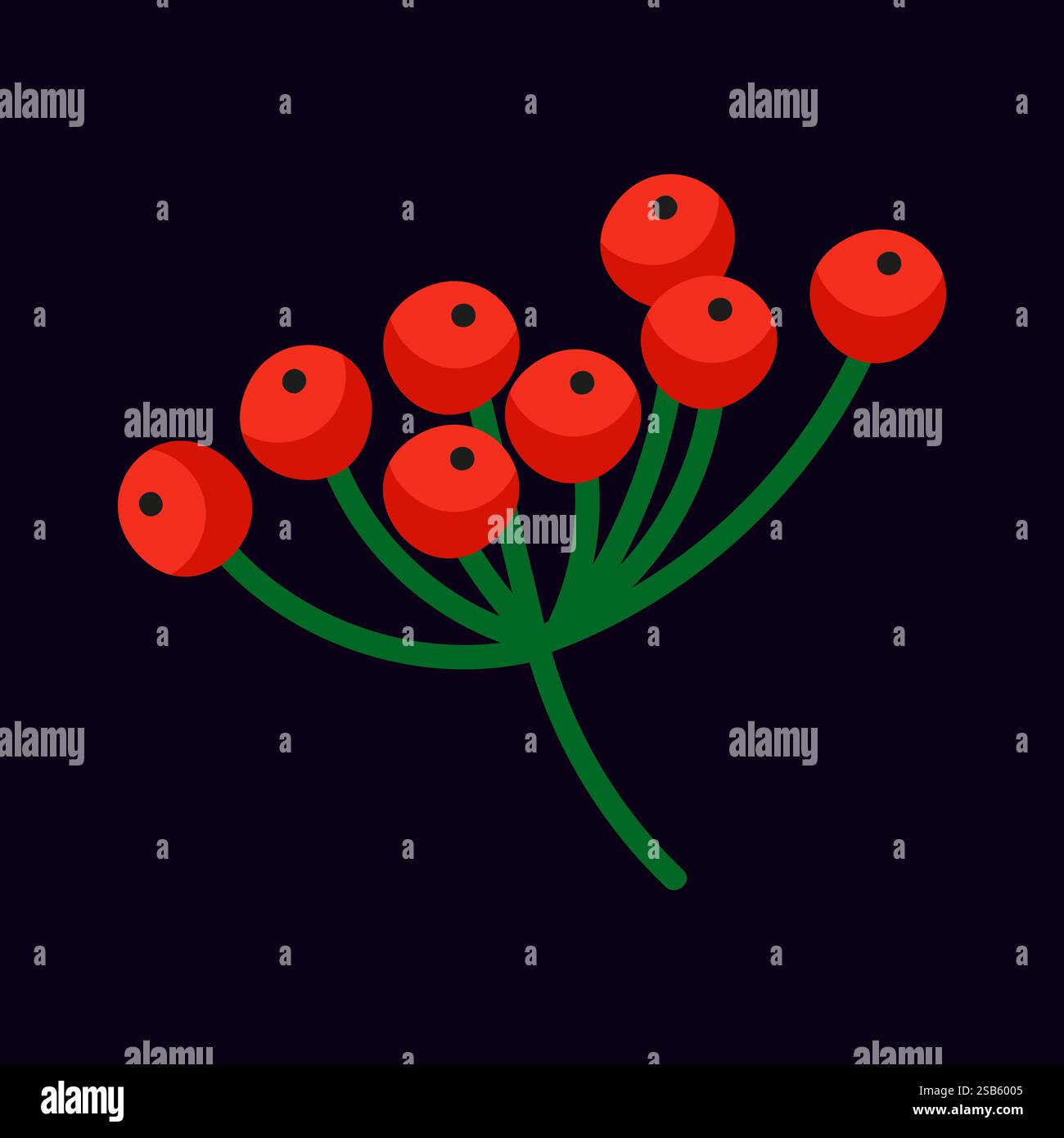 A cluster of bright red berries is seen attached to a green stem. The ...