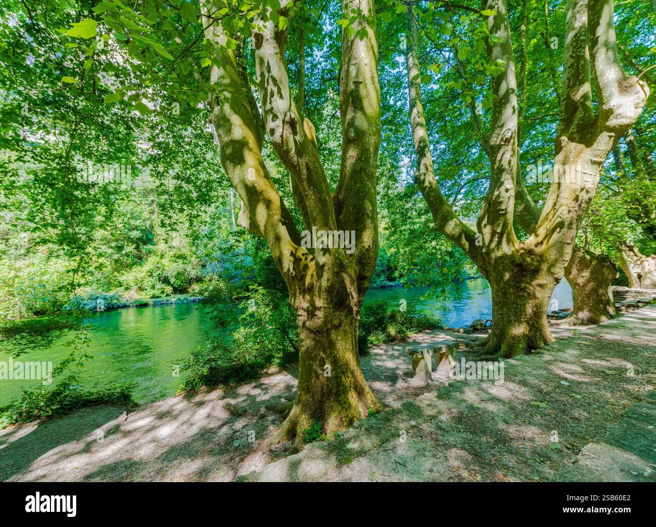 The romantic river Sorgue in Fontaine de Vaucluse. Vaucluse, Provence ...