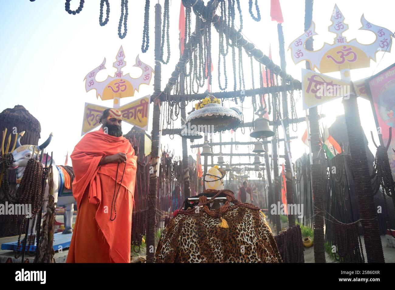Prayagraj, Uttar Pradesh, India. 1st Feb, 2025. Prayagraj: A Sadhu ...