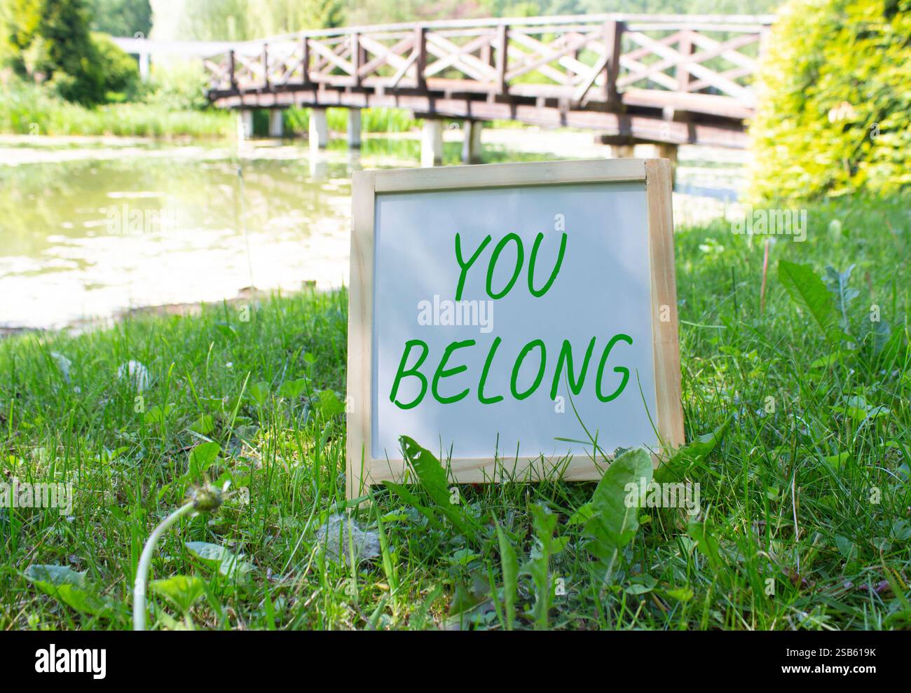 You belong symbol. White Blackboard with words You belong. Beautiful ...