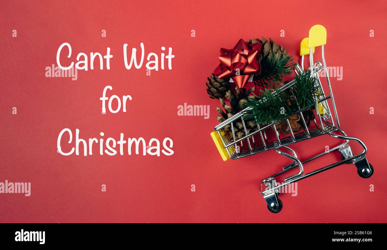 Shopping cart with a Christmas tree on top of it. The cart is labeled ...