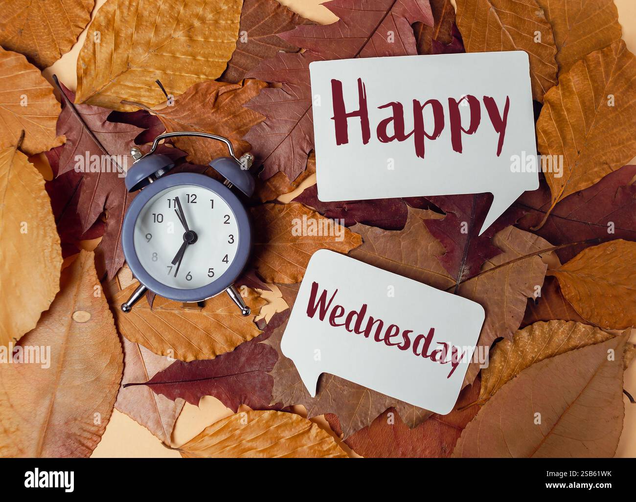 Clock is on a pile of leaves with the words Happy Wednesday written ...