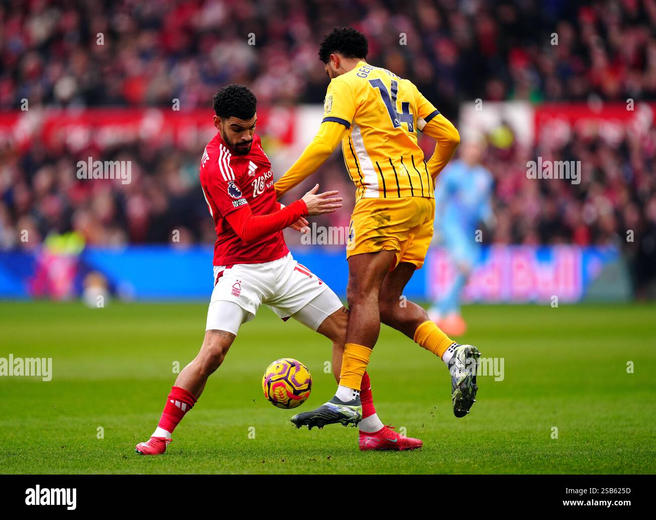 Nottingham Forest's Morgan Gibbs-White and Brighton and Hove Albion's ...