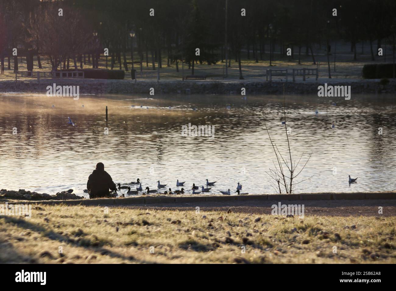 Man sitting on his back, unrecognizable, in front of a park pond ...