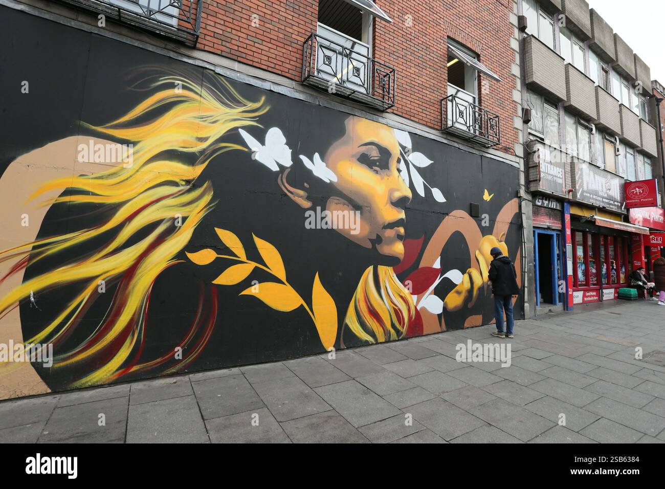 Dublin, Ireland - 21st January 2025 - a large art mural depicting a ...