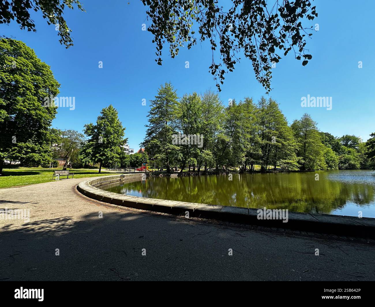 Park with a pond and trees. The pond is green and the sky is blue. The ...