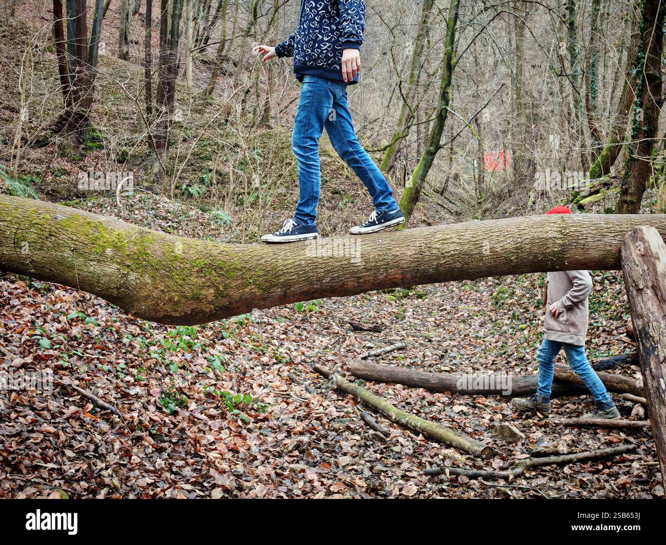 keeping the balance of the human psyche and the emotions keeping the ...