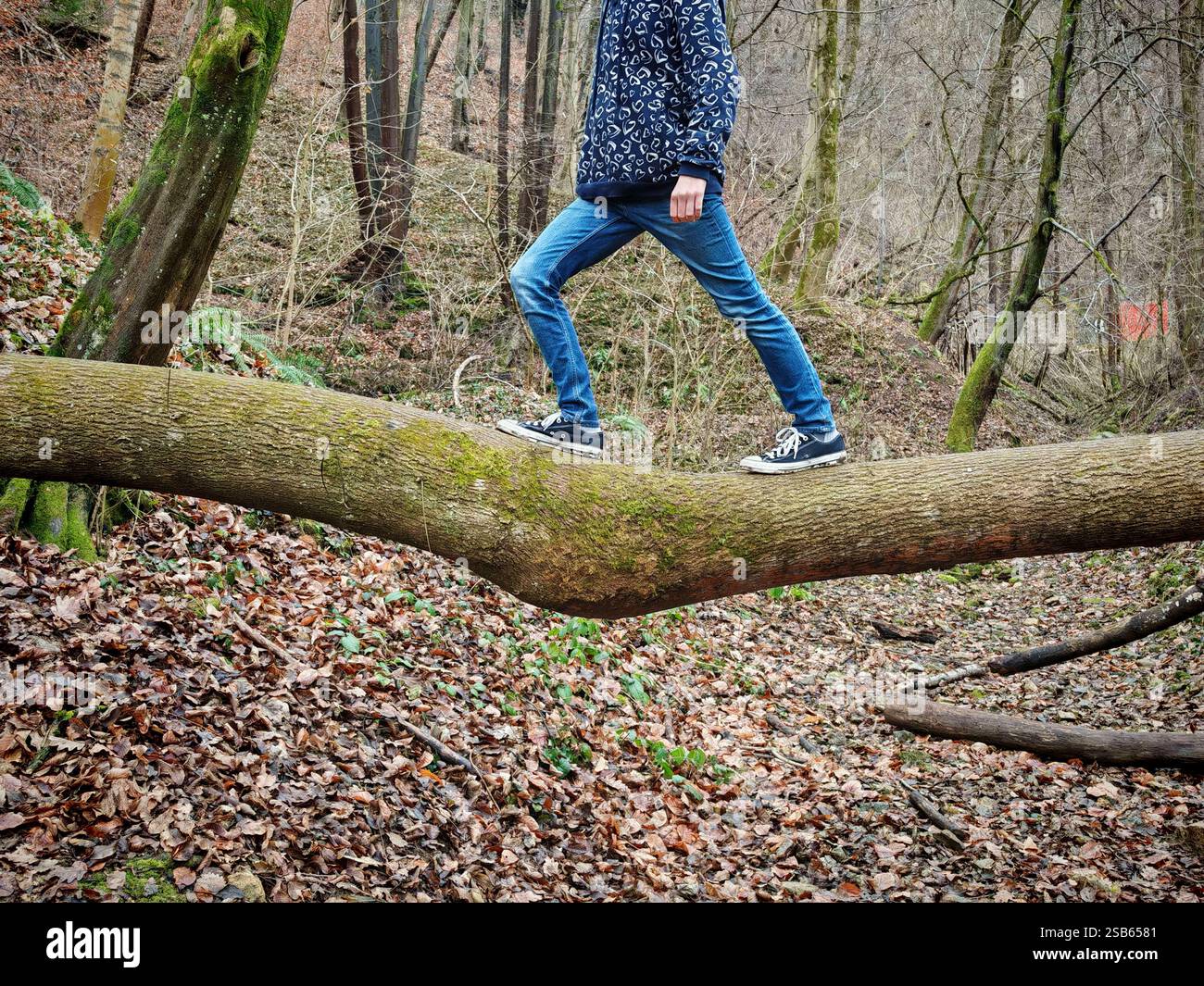 keeping the balance of the human psyche and the emotions keeping the ...