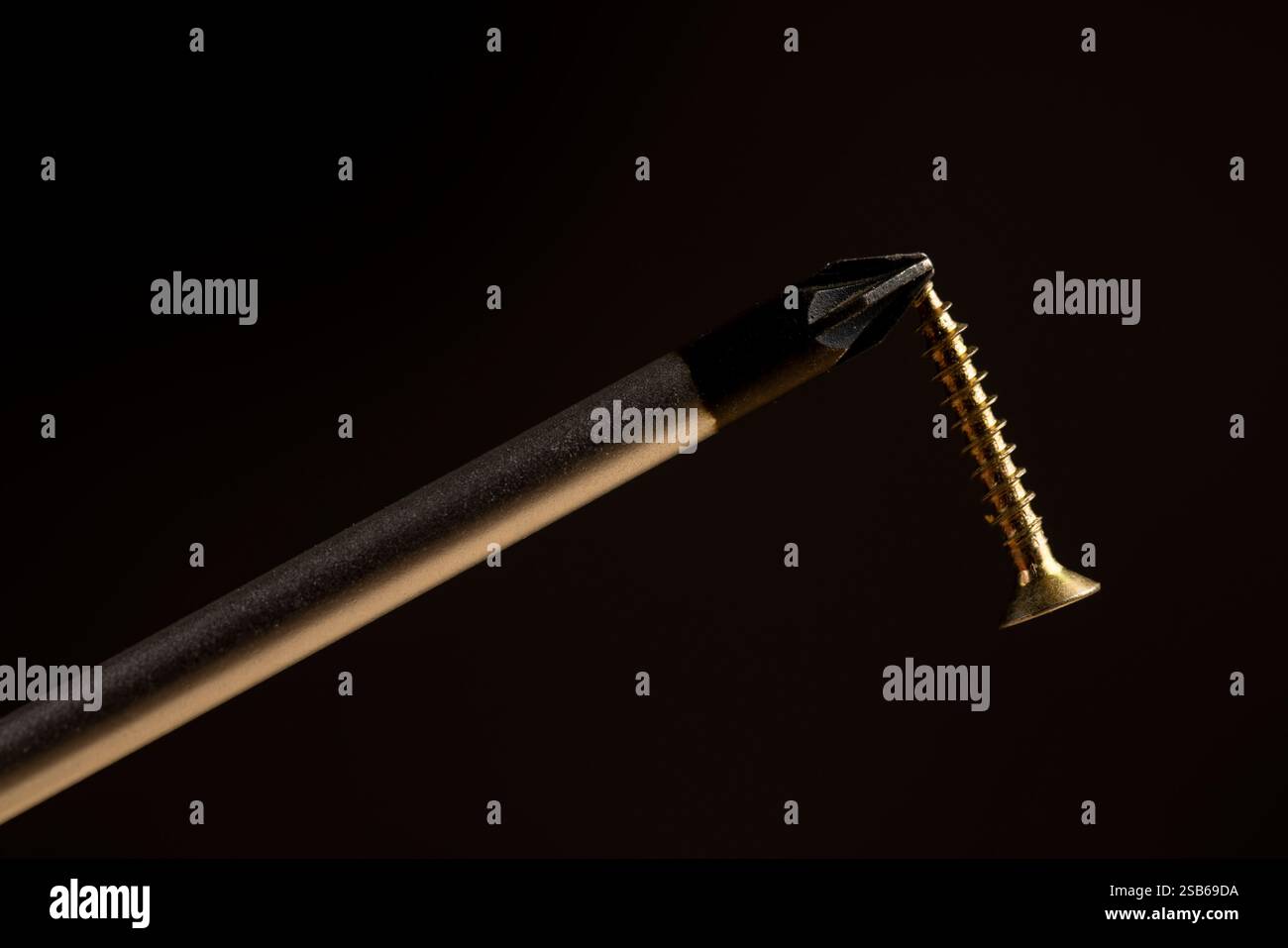 screwdriver with a magnetic tip and golden decorative self tapping ...