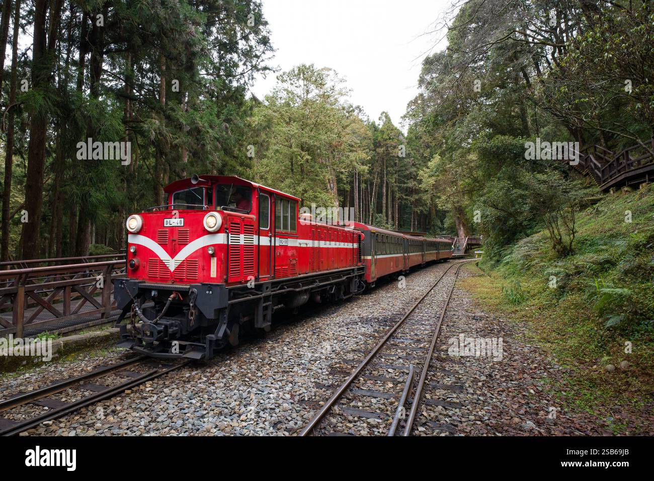 Alishan Forest Railway train in forest Stock Photo - Alamy