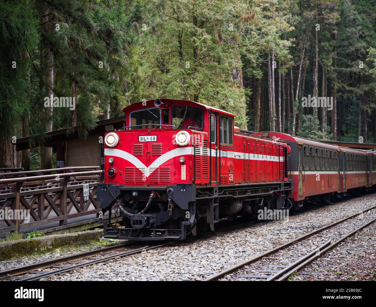 Alishan Forest Railway train in forest Stock Photo - Alamy