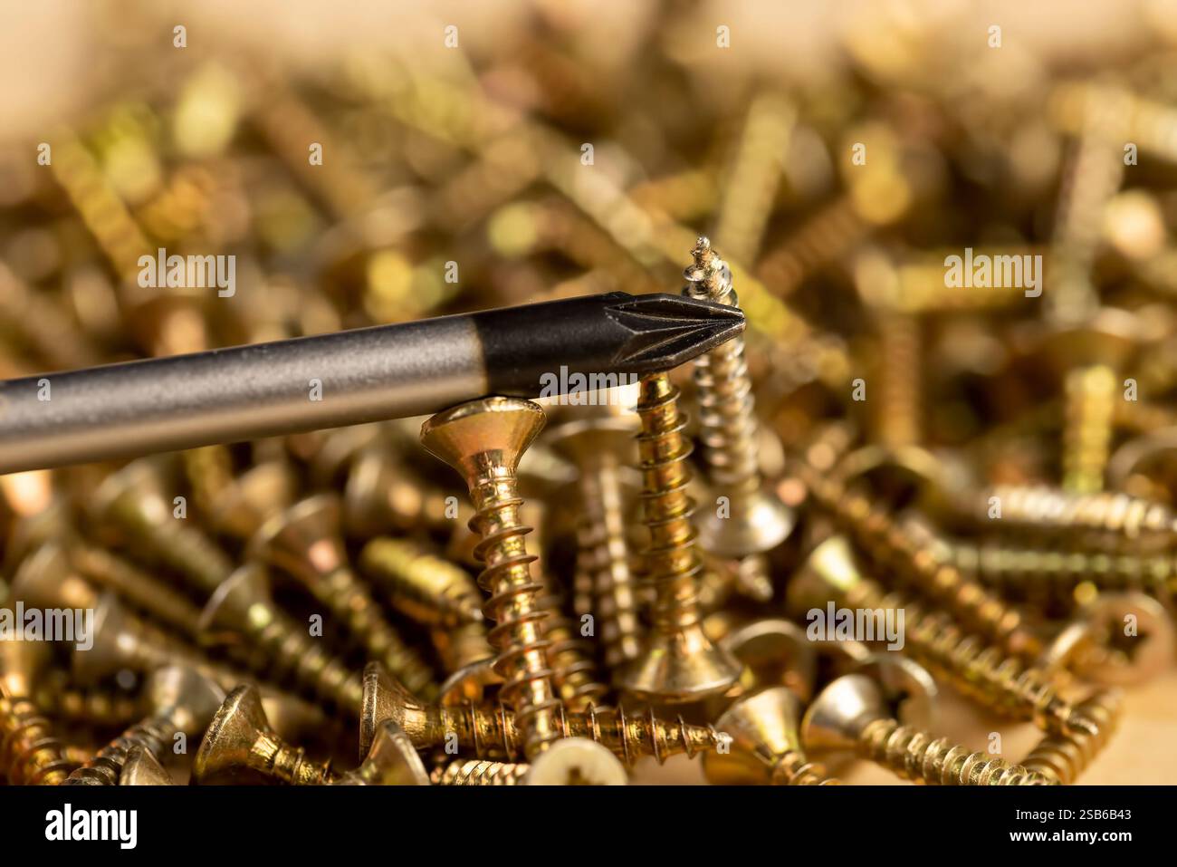 a metal screwdriver with a magnetic tip and golden decorative self ...